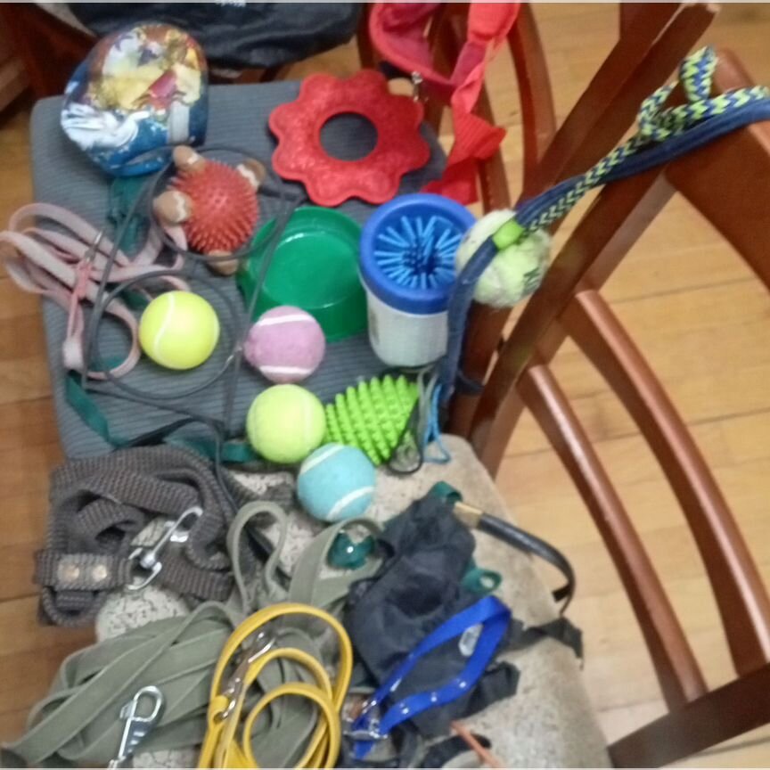 Всё для собак