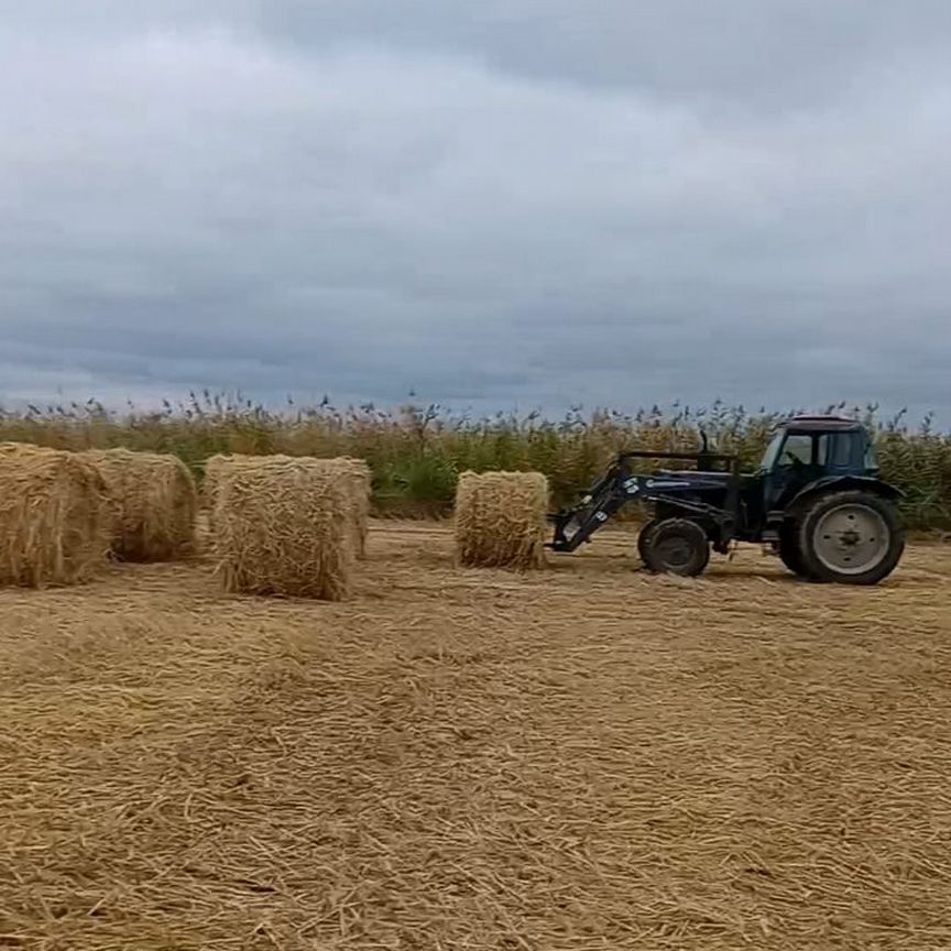 Рисовая солома