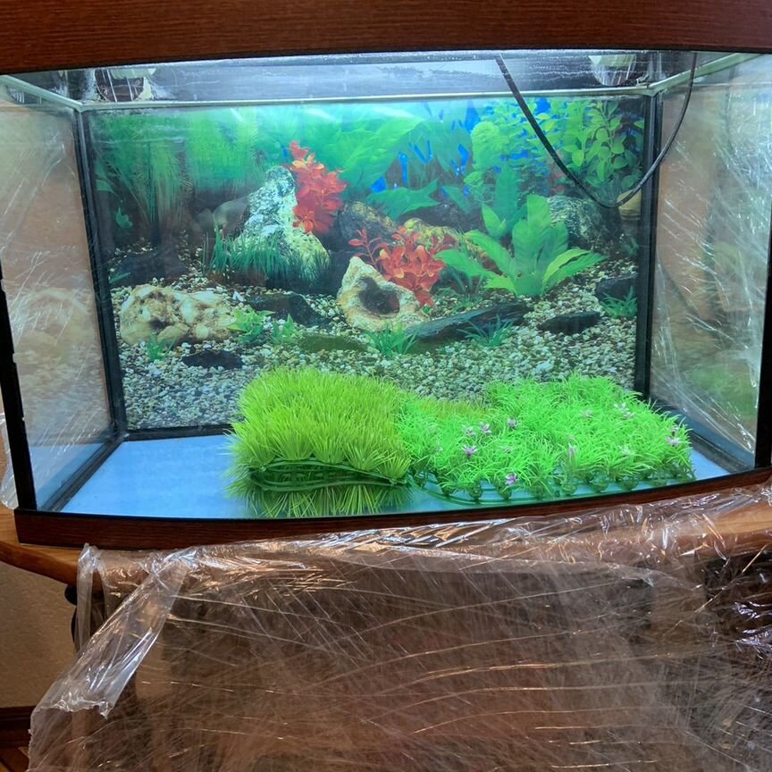 Аквариум и приспособления для ухода
