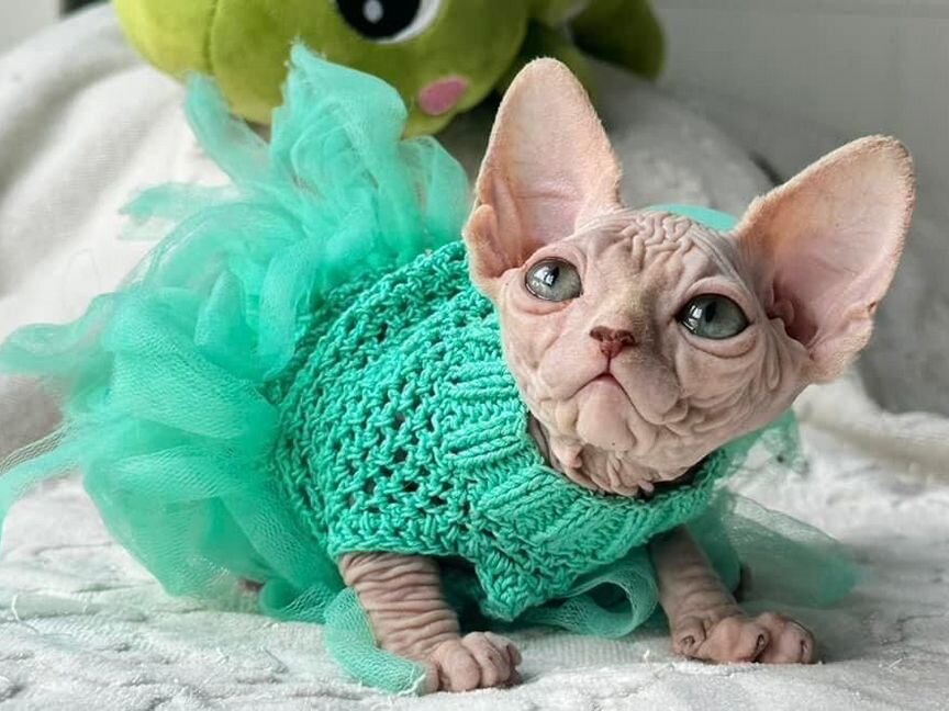 Куколка малышка