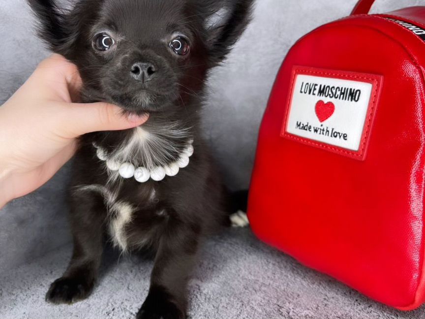 Чудо девочка-красавица