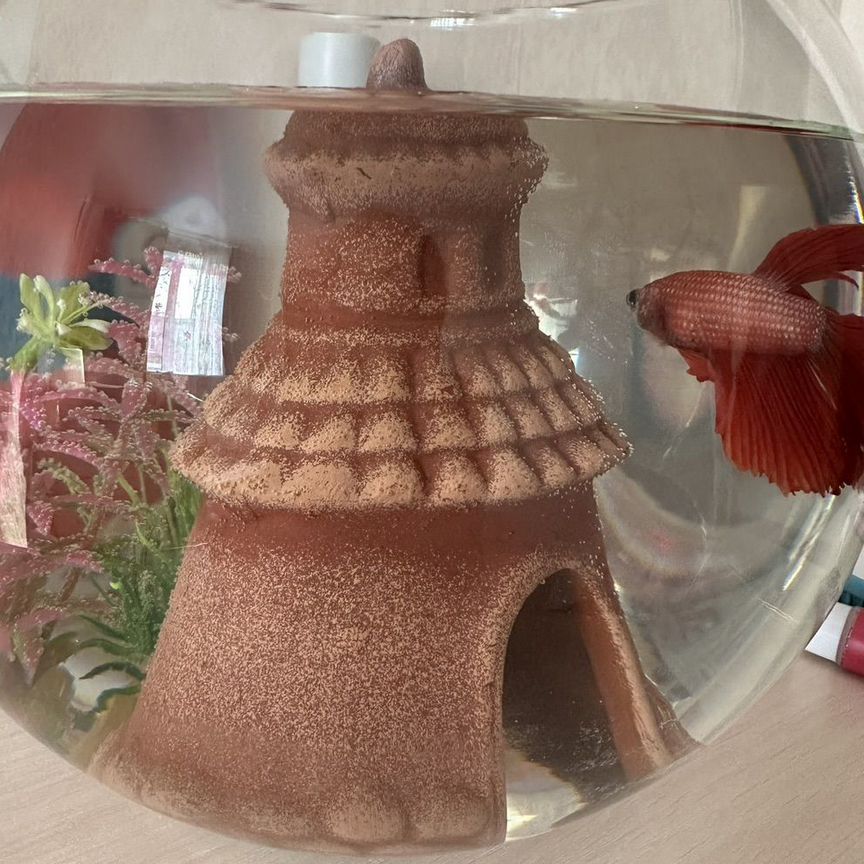 Аквариум круглый 5 литров