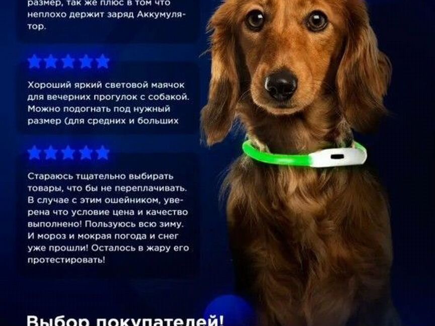 Светящийся ошейник для собак / новый