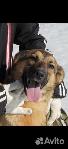 Согрейте юную принцессу Юту