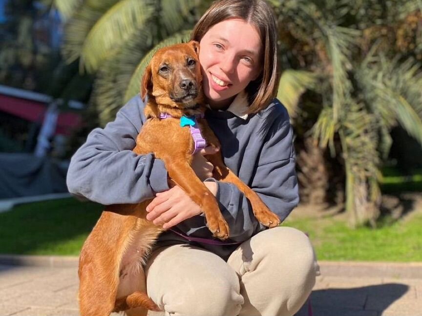 Айша миниатюрная в добрые руки