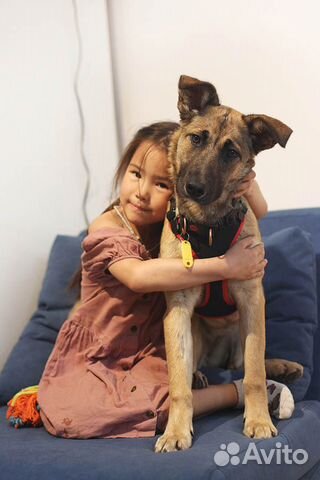 Марта ищет дом