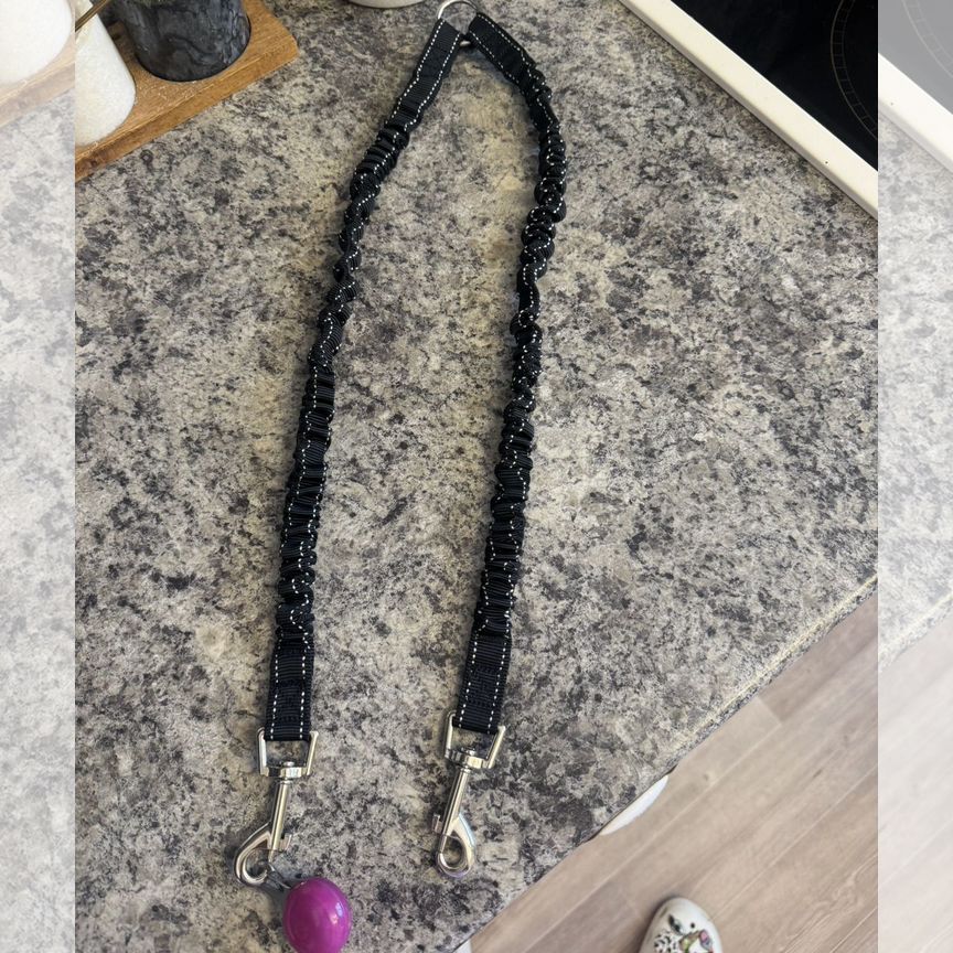 Сворка для больших собак