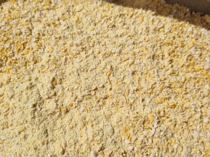 Горох дробленый