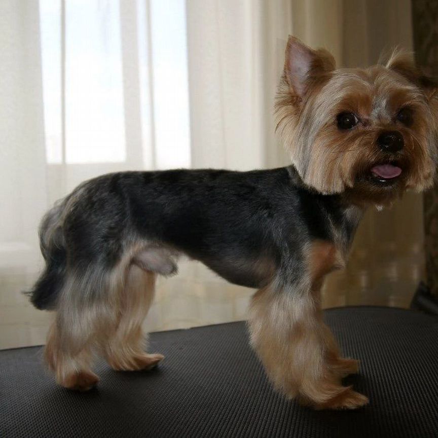 Стол для груминга складной