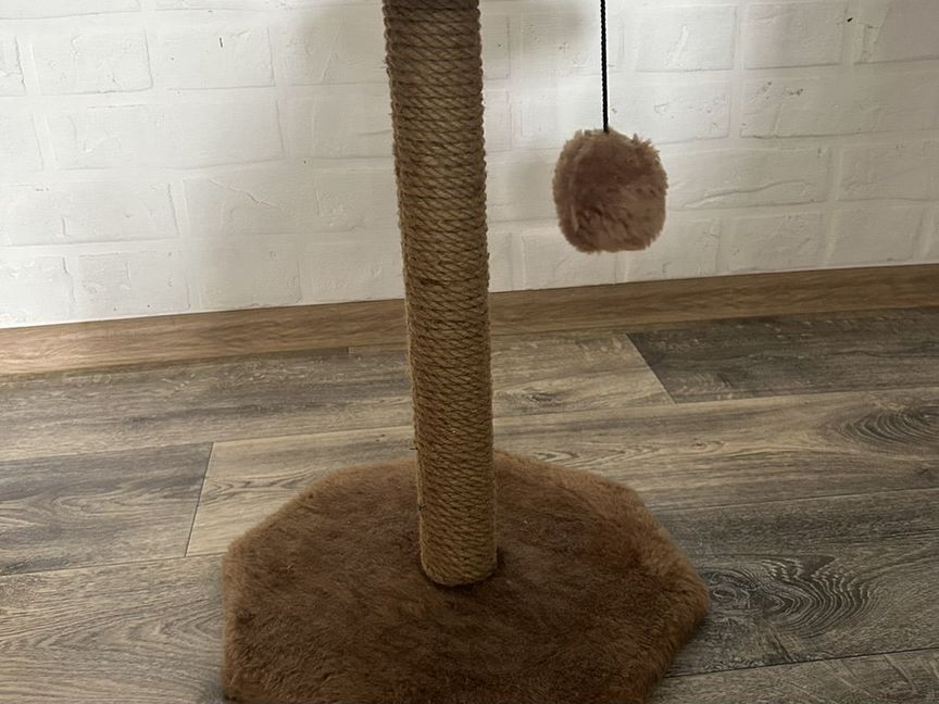 Когтеточка