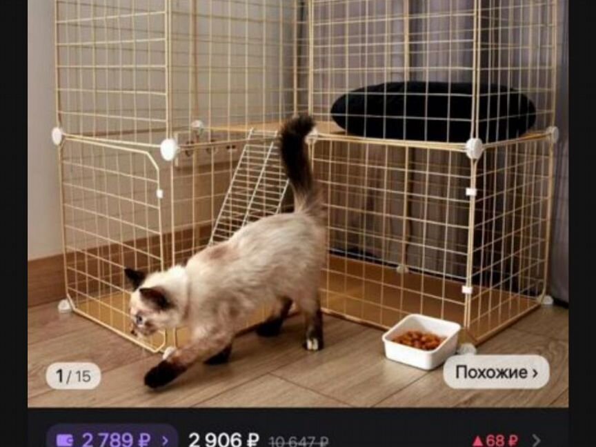 Клетка