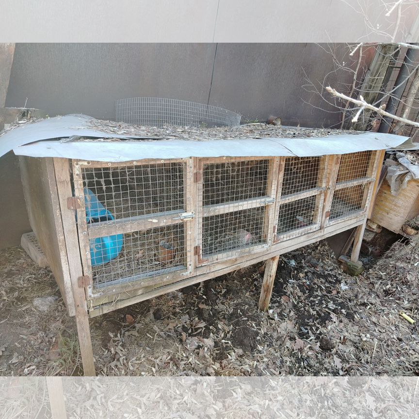 Клетка для кролика. большая