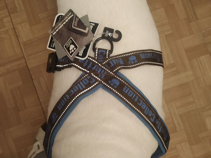 Шлейка для крупных собак