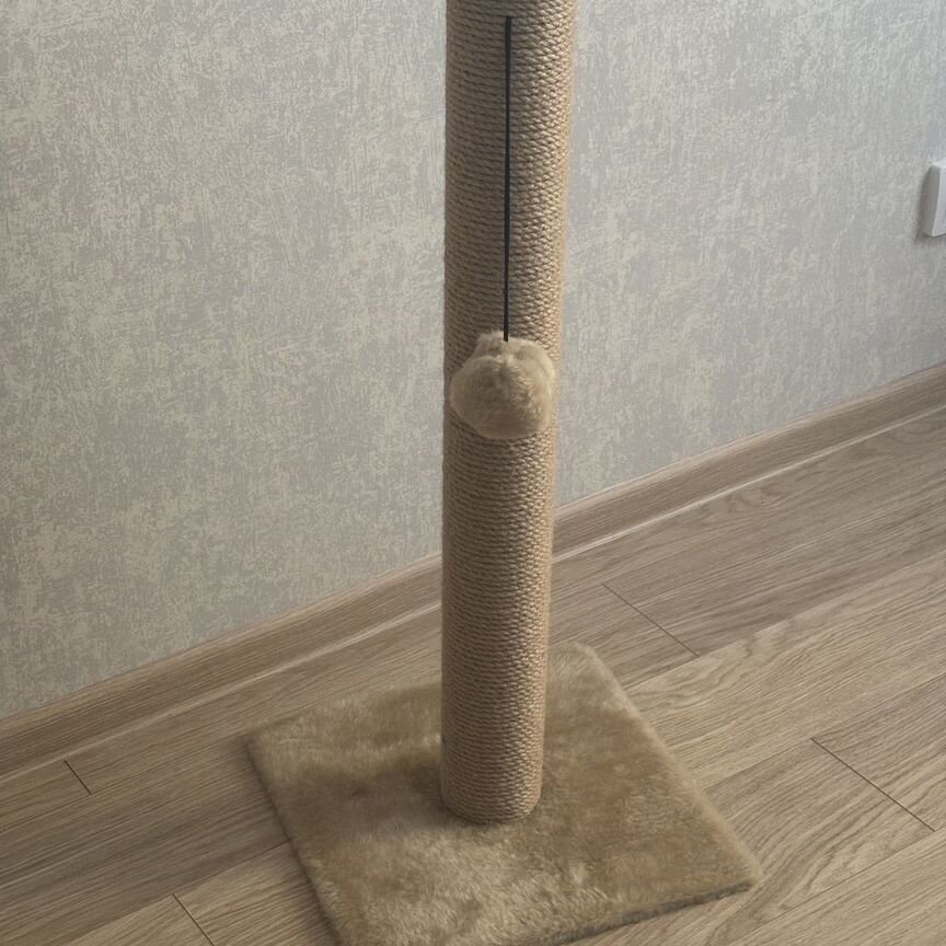 Когтеточка