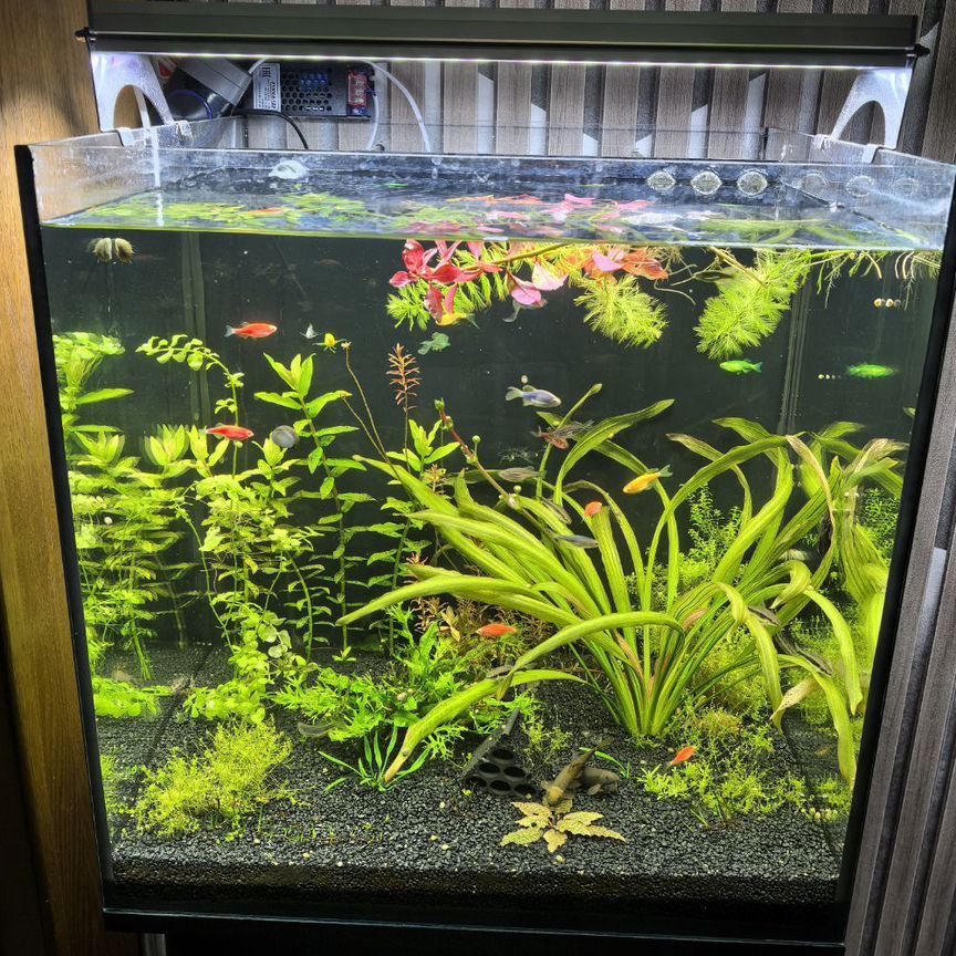 Аквариум 50x50x50