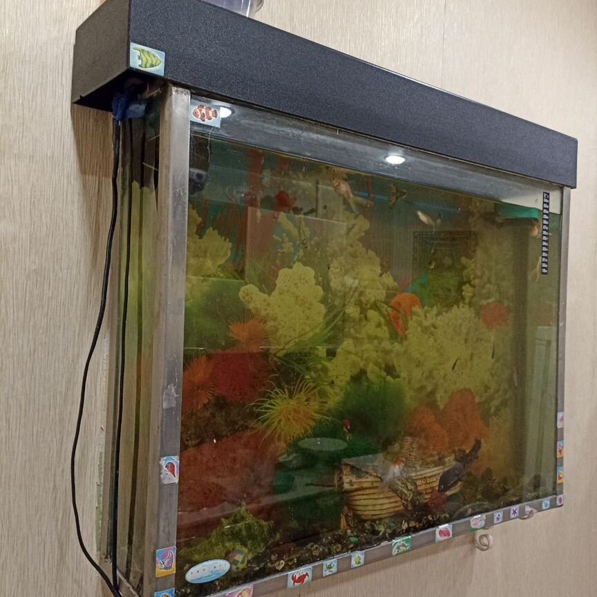 Аквариум с рыбками