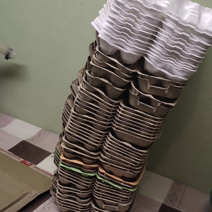 Клетки от яиц