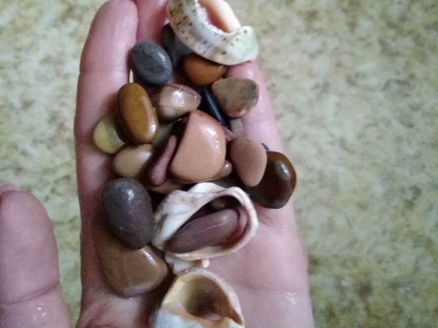 Камни для аквариума и животных