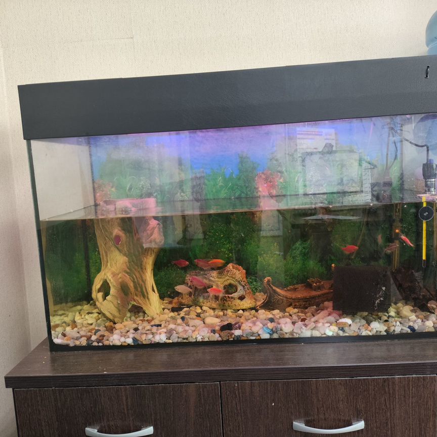 Аквариум 120л