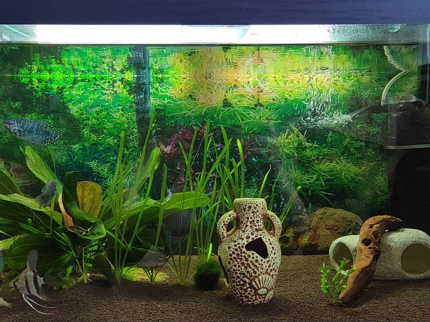 Аквариум в комплекте