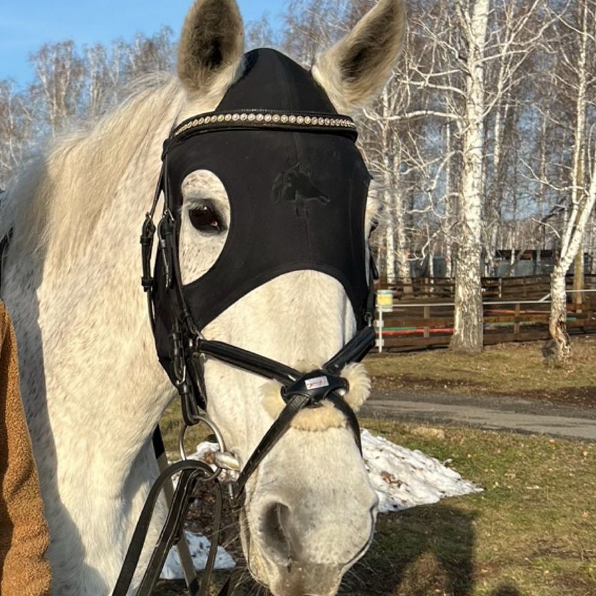 Маска успокаивающая для лошади