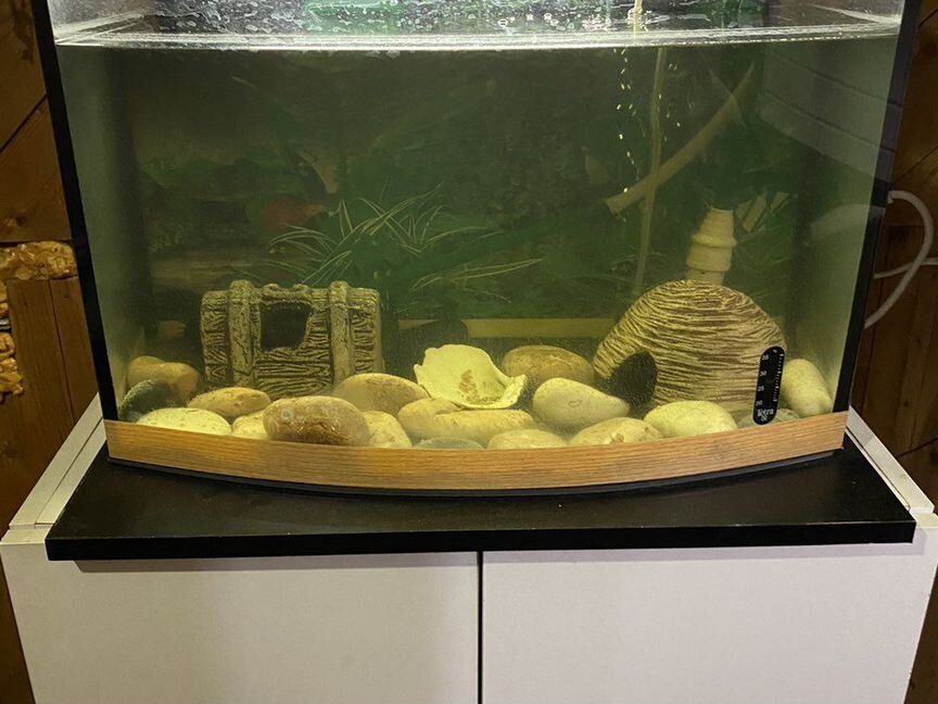 Аквариум, грунт, три домика, фильтр и 3 сома