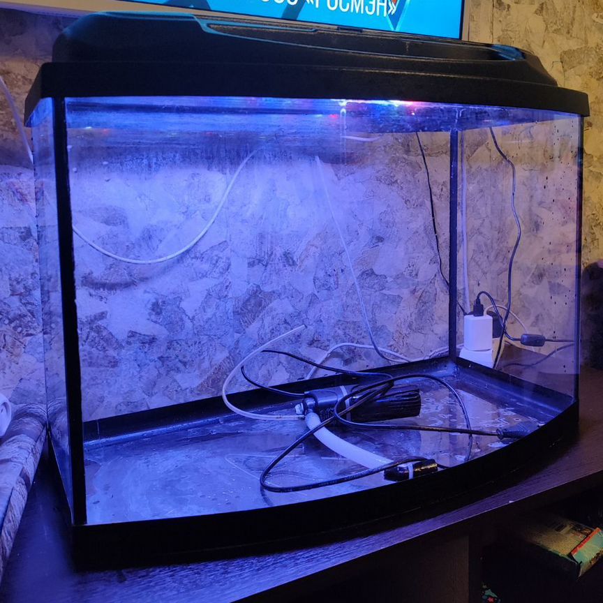 Аквариум с золотой рыбкой