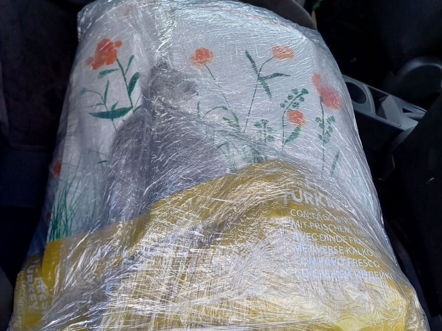 Альмо для кошек