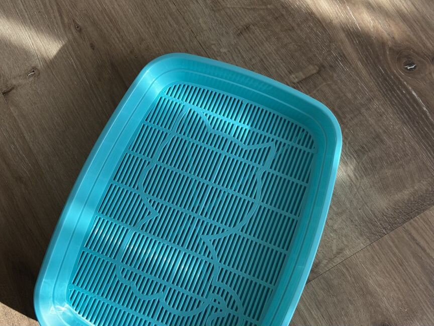 Лоток для кошек