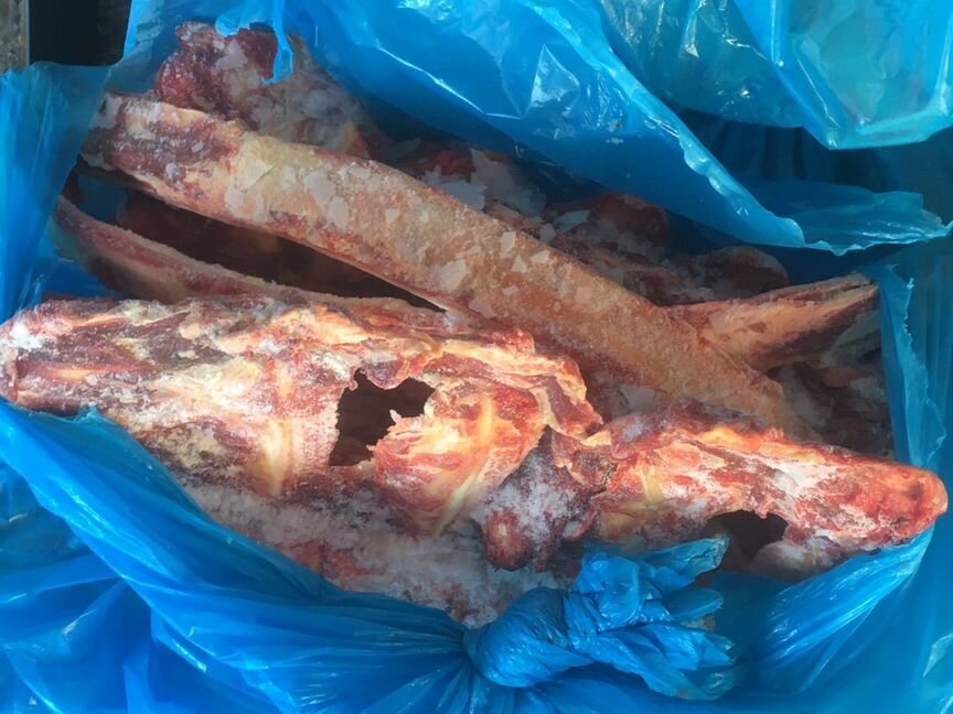Кости говяжьи продам