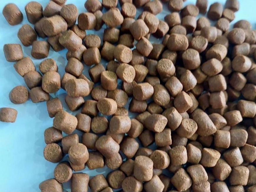 Корм для прудовых рыб