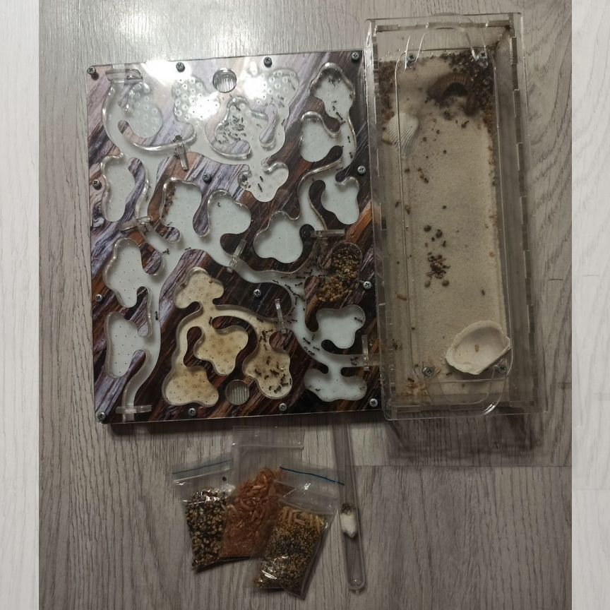 Муравьинная ферма