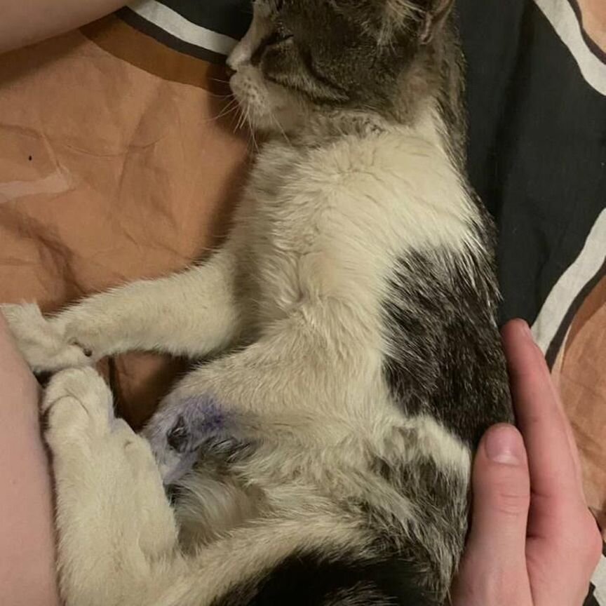 Малышка ждет помощь