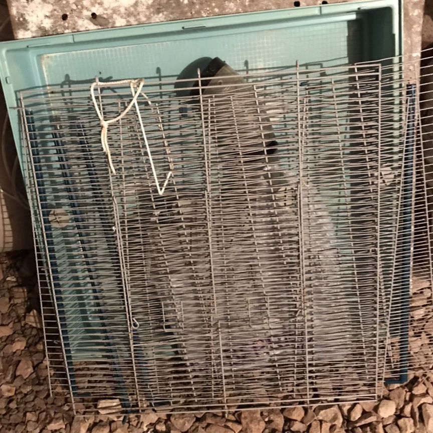 Клетка для хорька большая