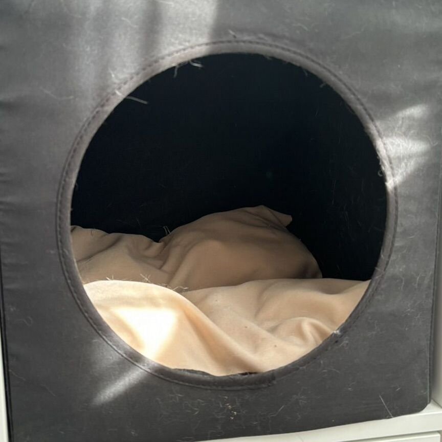 Кошачий домик