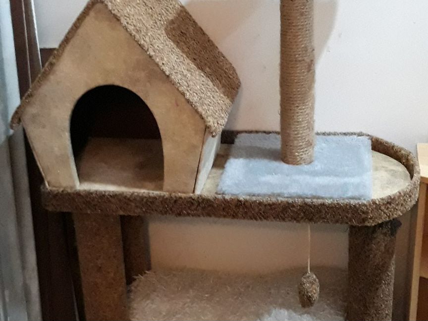 Кошачий уголок