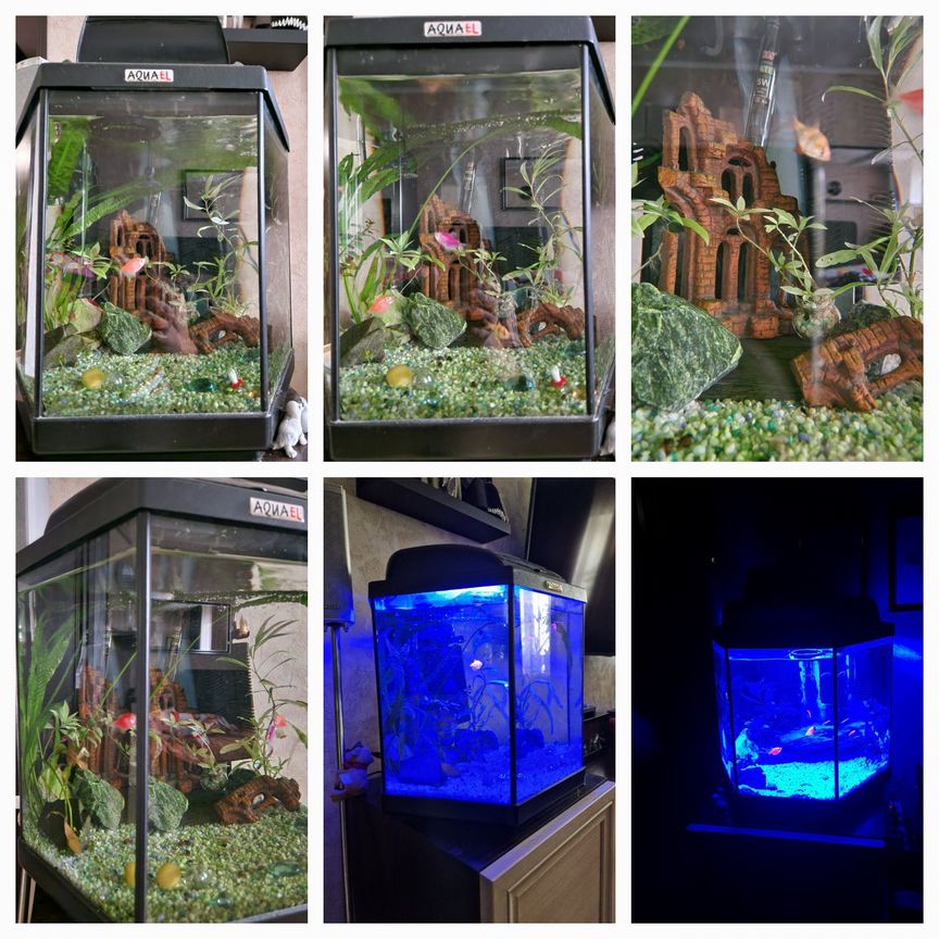 Аквариум с рыбками