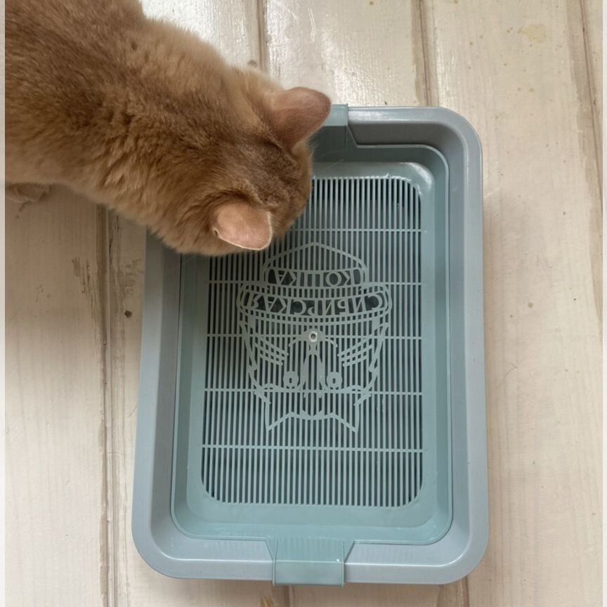 Лоток для кошек 20*30