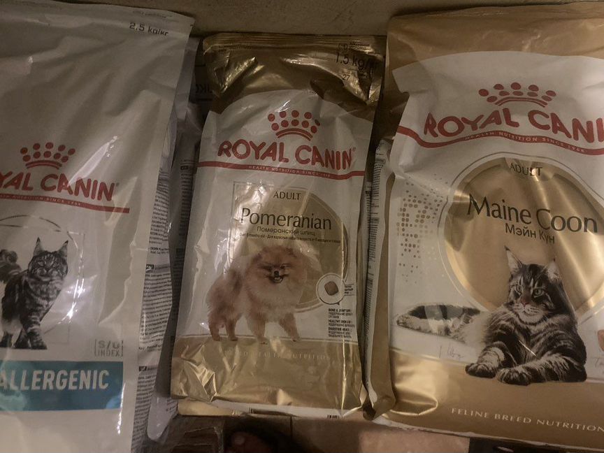 Royal canin maine coon, mini digestive care