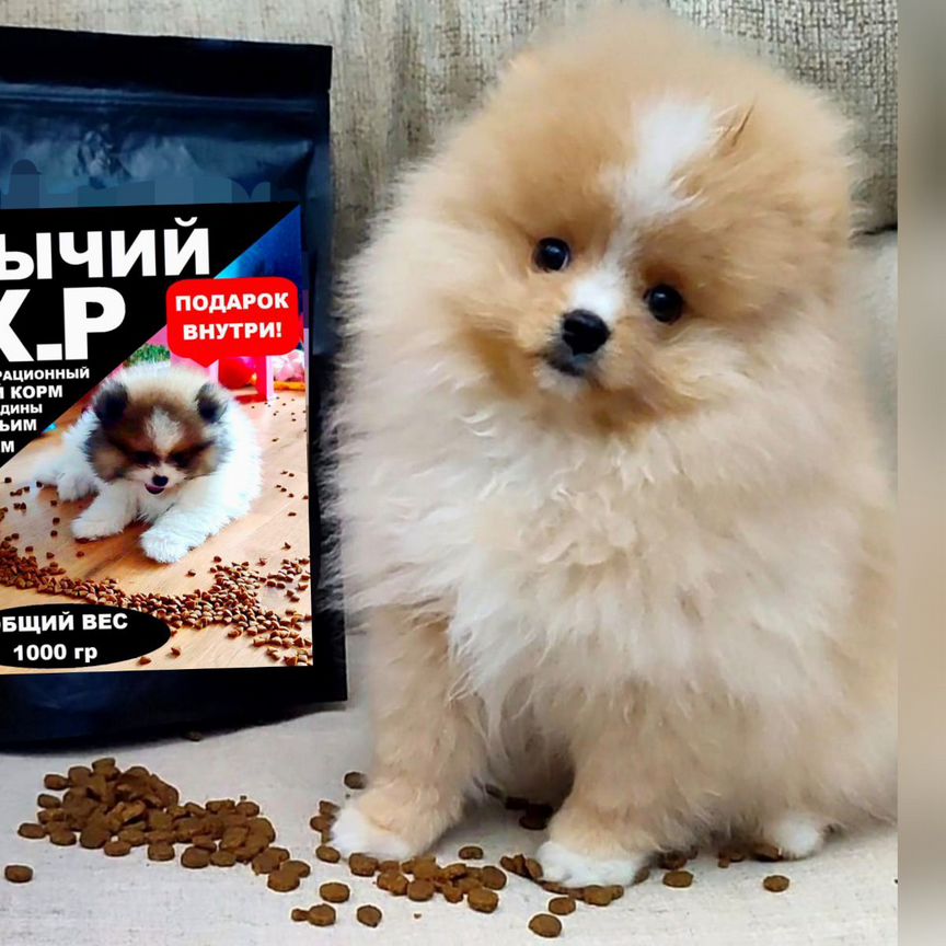 Сухой корм с вкусняшкой