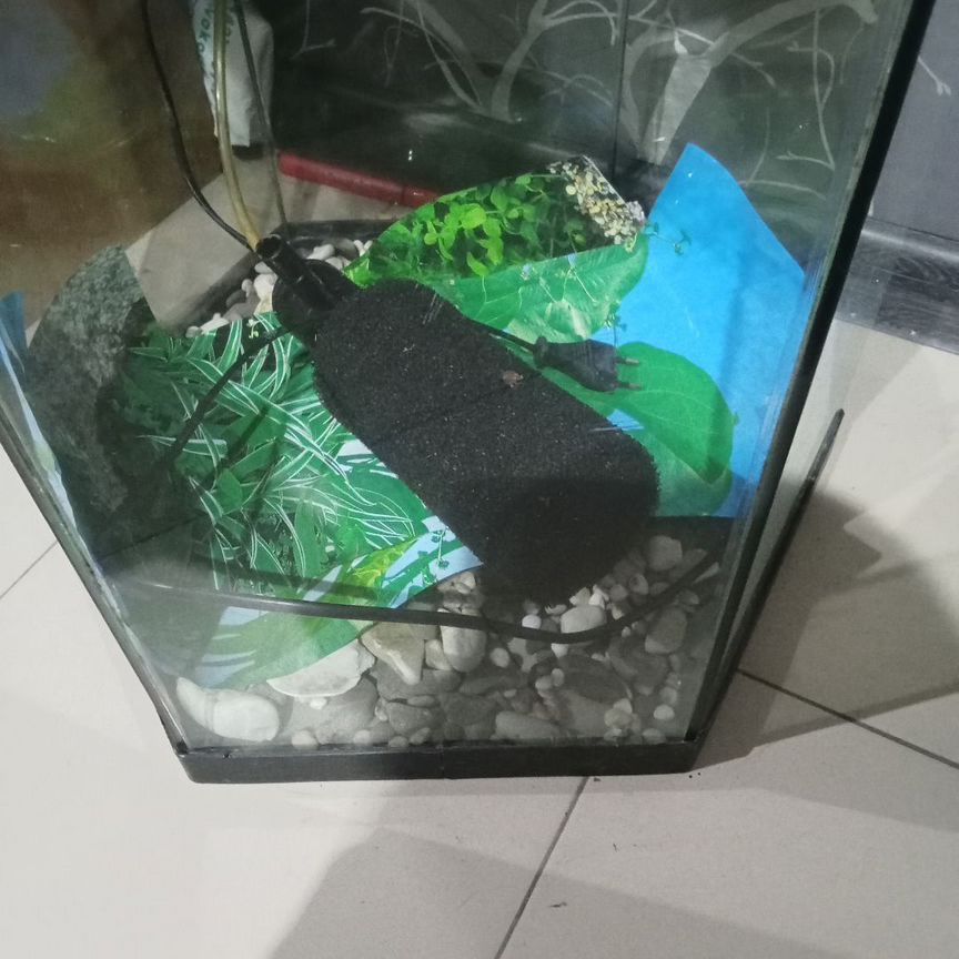 Аквариум