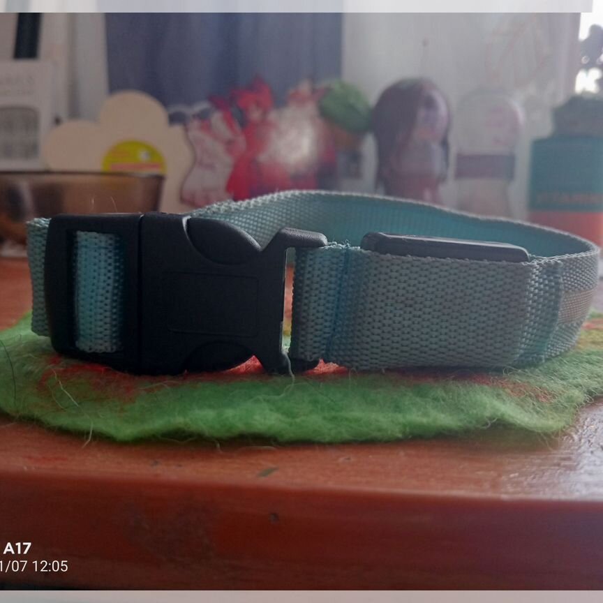 Ошейники, поводки и адресники на заказ