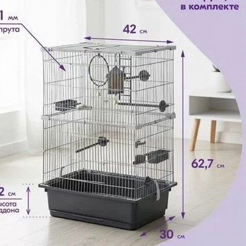 Волнистый попугай