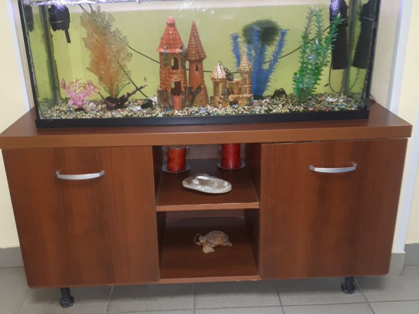 Аквариум на 100 л вместе с тумбой