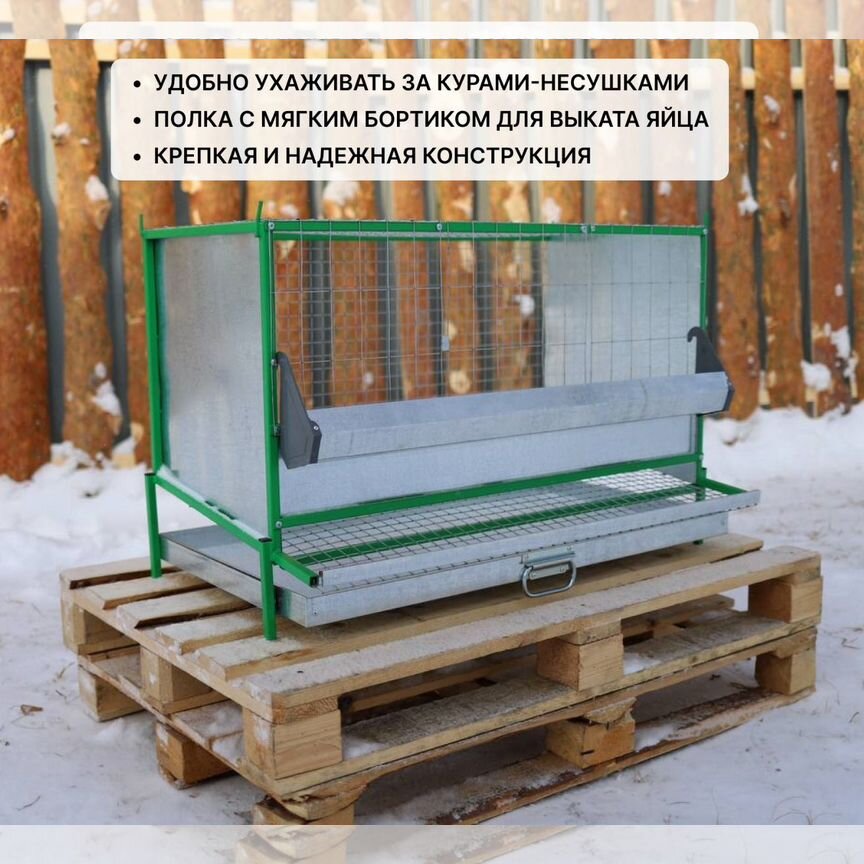 Клетки для кур несушек