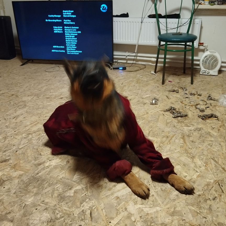 Мальчик ищет спутницу жизни