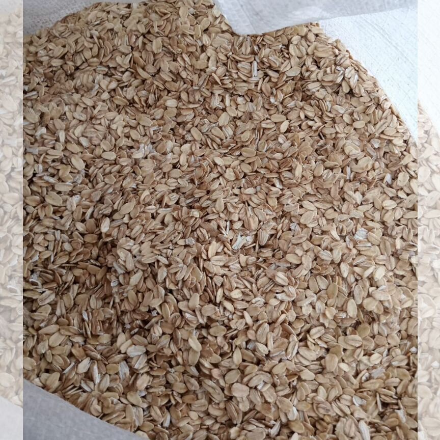 Геркулес корм для собак