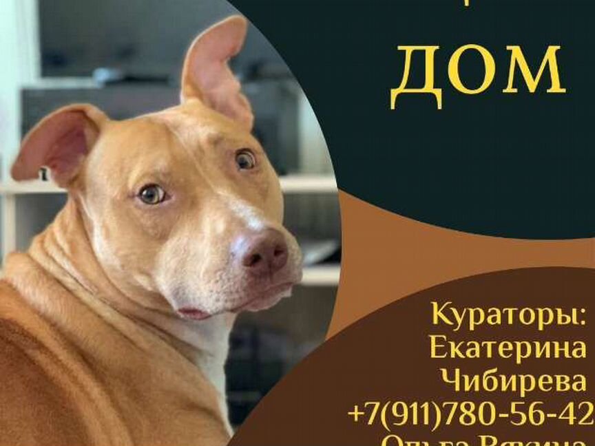 Марсель ищет дом