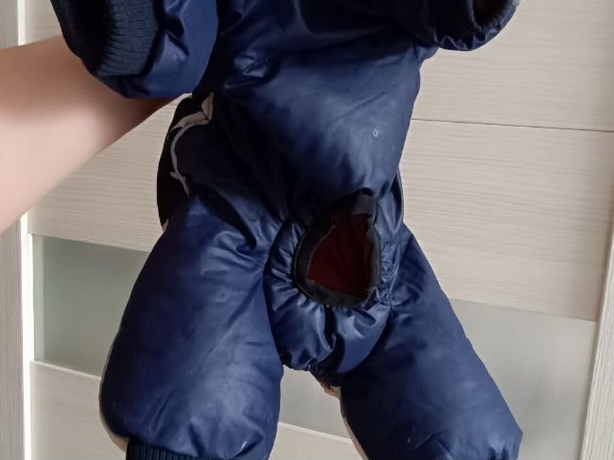 Костюм зимний для собаки