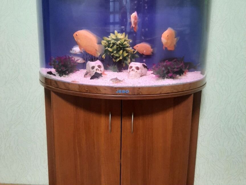 Аквариум с тумбой jebo